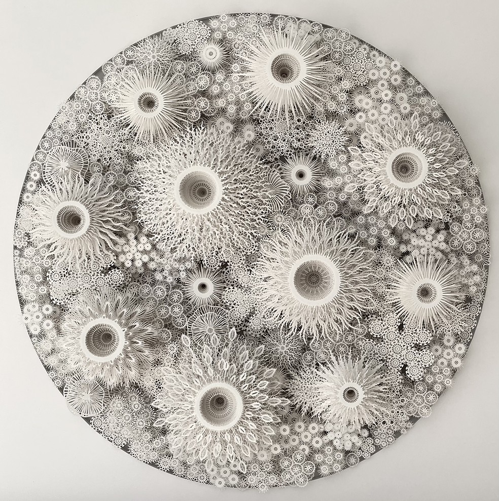 Rogan Brown - Paper Sculptures