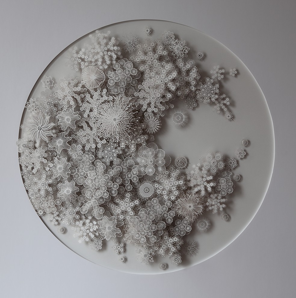 Rogan Brown - Paper Sculptures