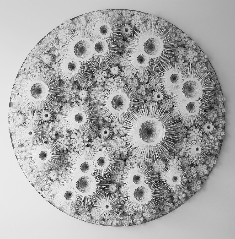 Rogan Brown - Paper Sculptures