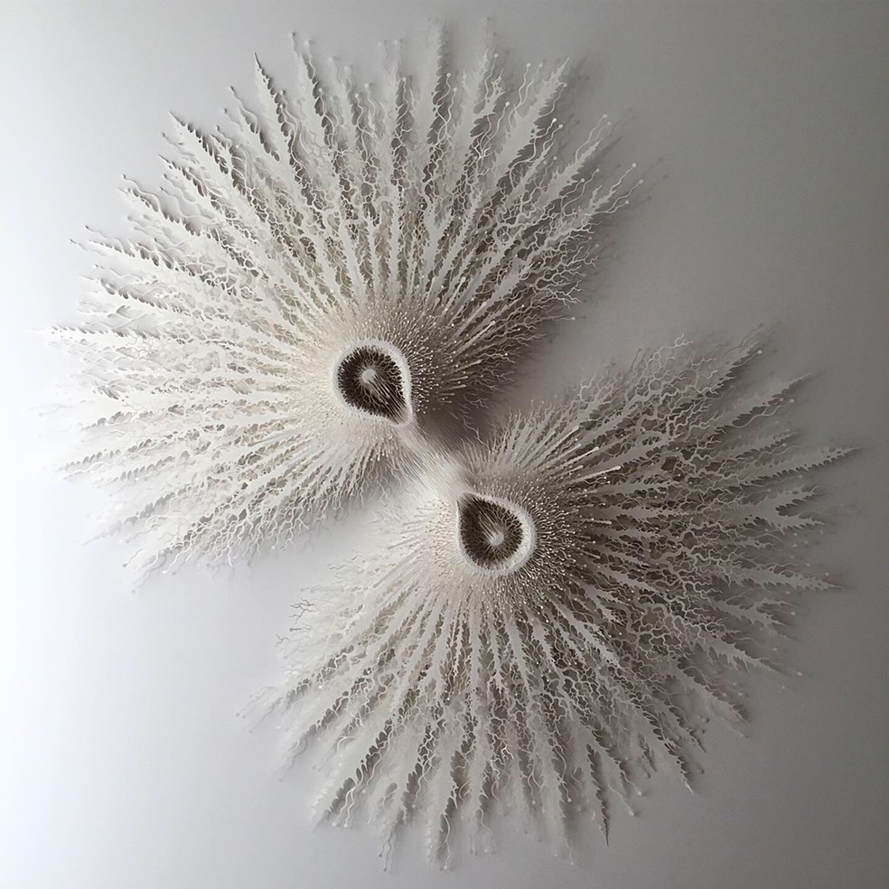 Rogan Brown - Paper Sculptures