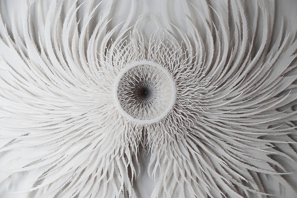 Rogan Brown - Paper Sculptures