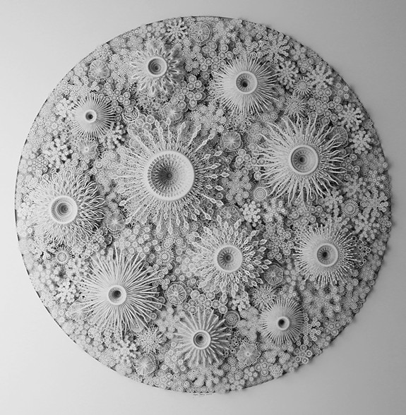 Rogan Brown - Paper Sculptures