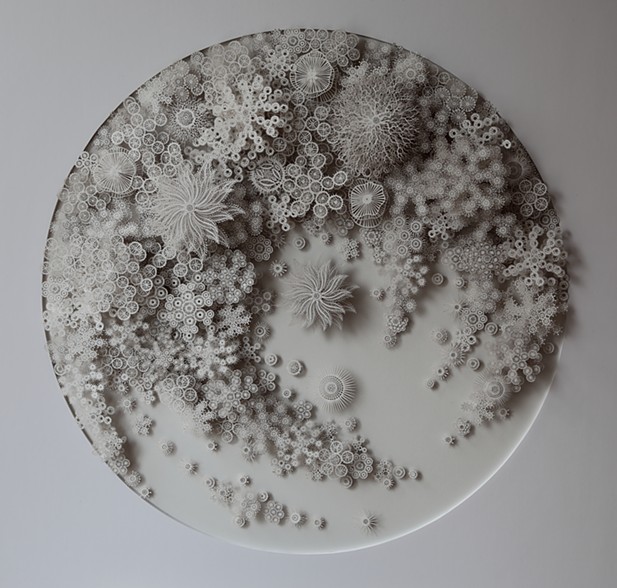 Rogan Brown - Paper Sculptures