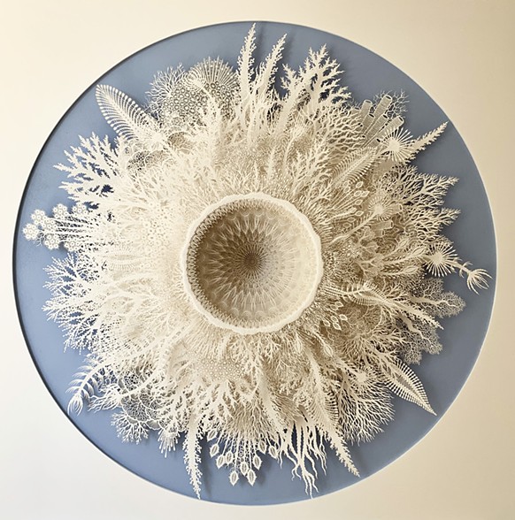 Rogan Brown - Paper Sculptures