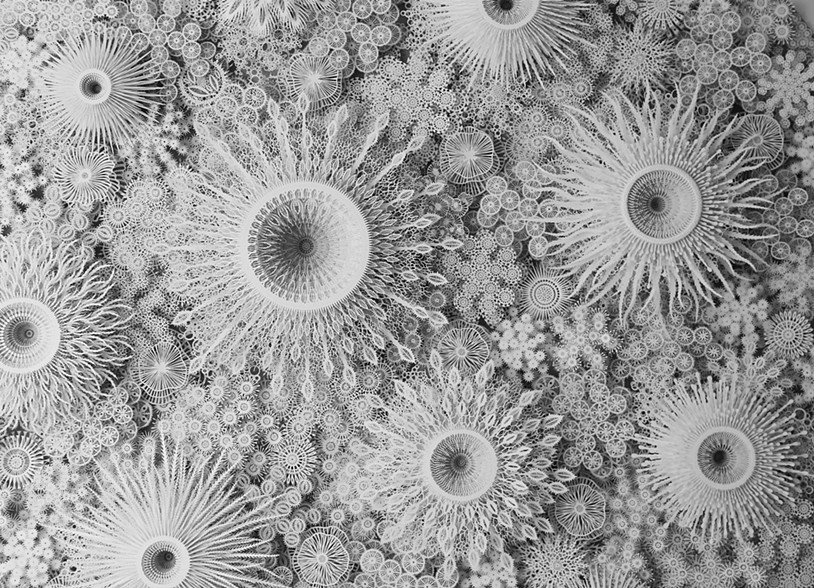 Rogan Brown - Paper Sculptures