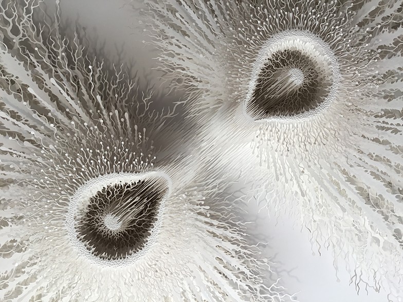 Rogan Brown - Paper Sculptures