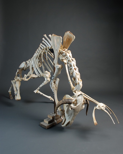 Kevin Vanek Sculpture