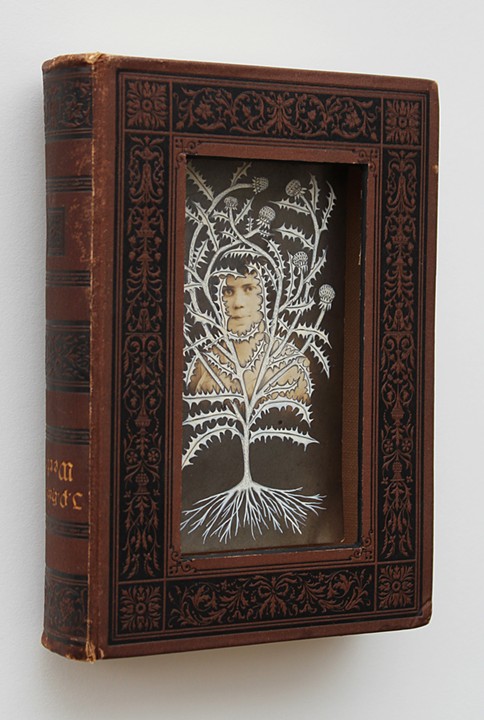 Lesley Patterson-Marx, Visual Artist