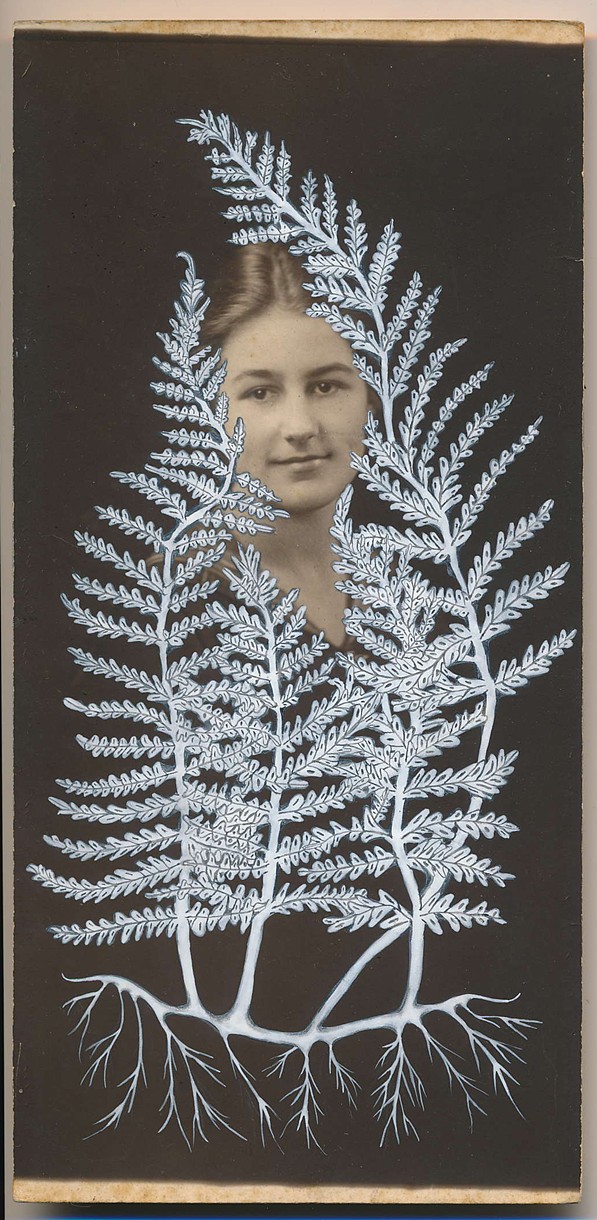 Lesley Patterson-Marx, Visual Artist