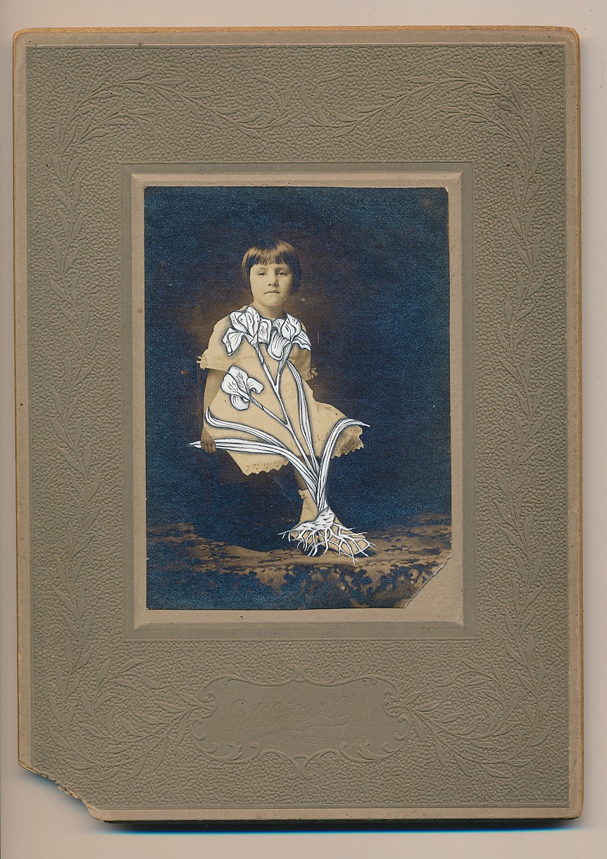 Lesley Patterson-Marx, Visual Artist