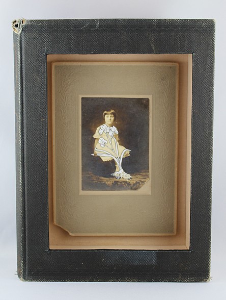 Lesley Patterson-Marx, Visual Artist