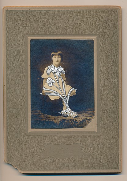 Lesley Patterson-Marx, Visual Artist