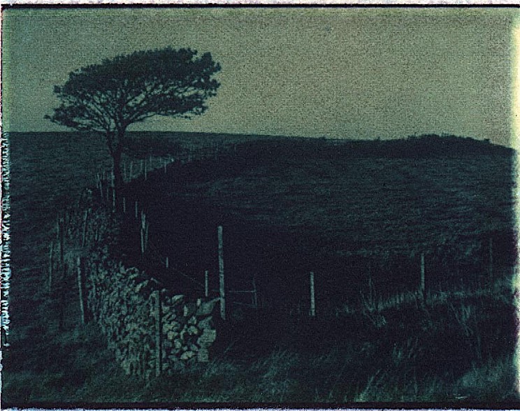 ALISON OVERTON Fine Art Photographer and Printmaker