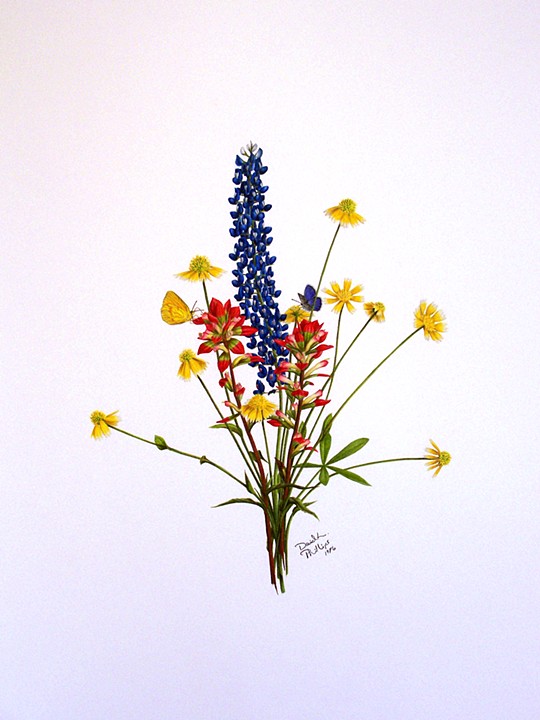 David Phillips Art