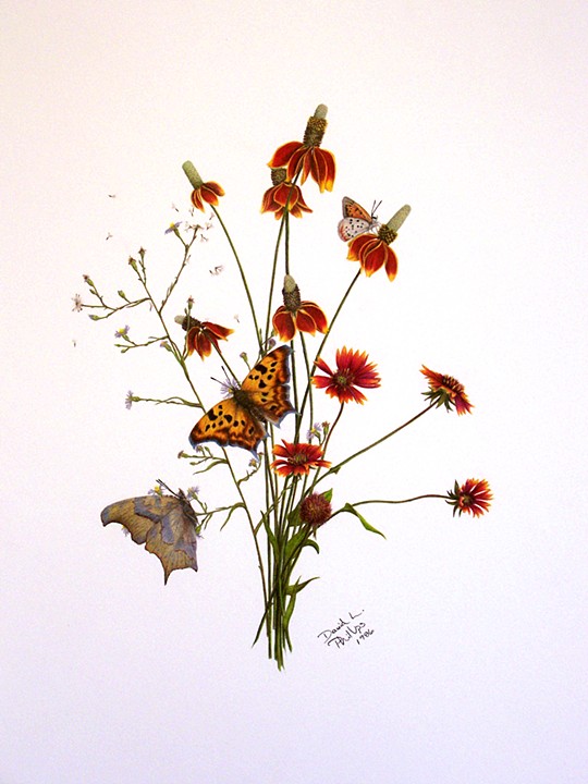 David Phillips Art