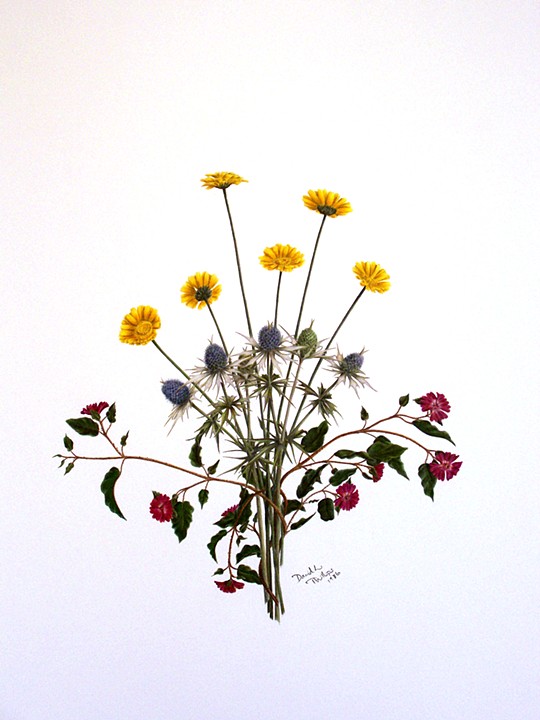 David Phillips Art