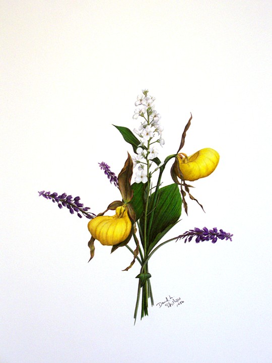 David Phillips Art