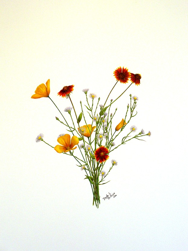David Phillips Art