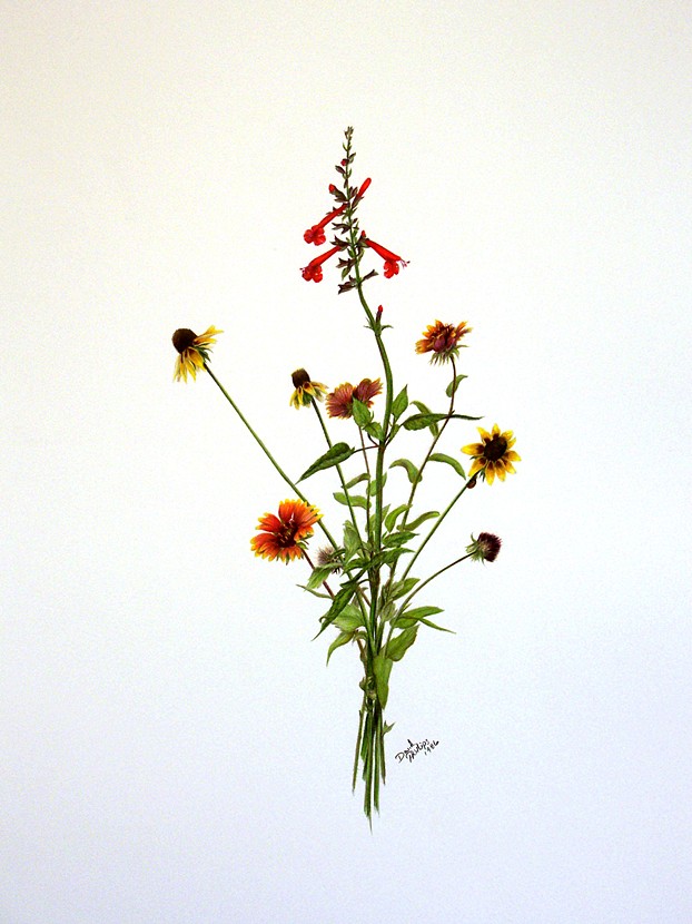David Phillips Art