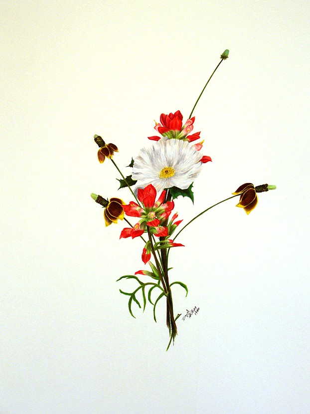 David Phillips Art