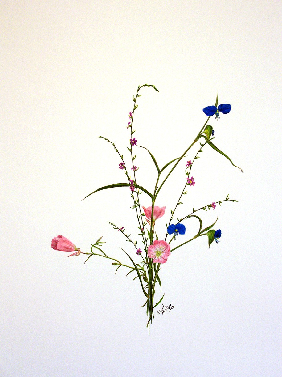 David Phillips Art