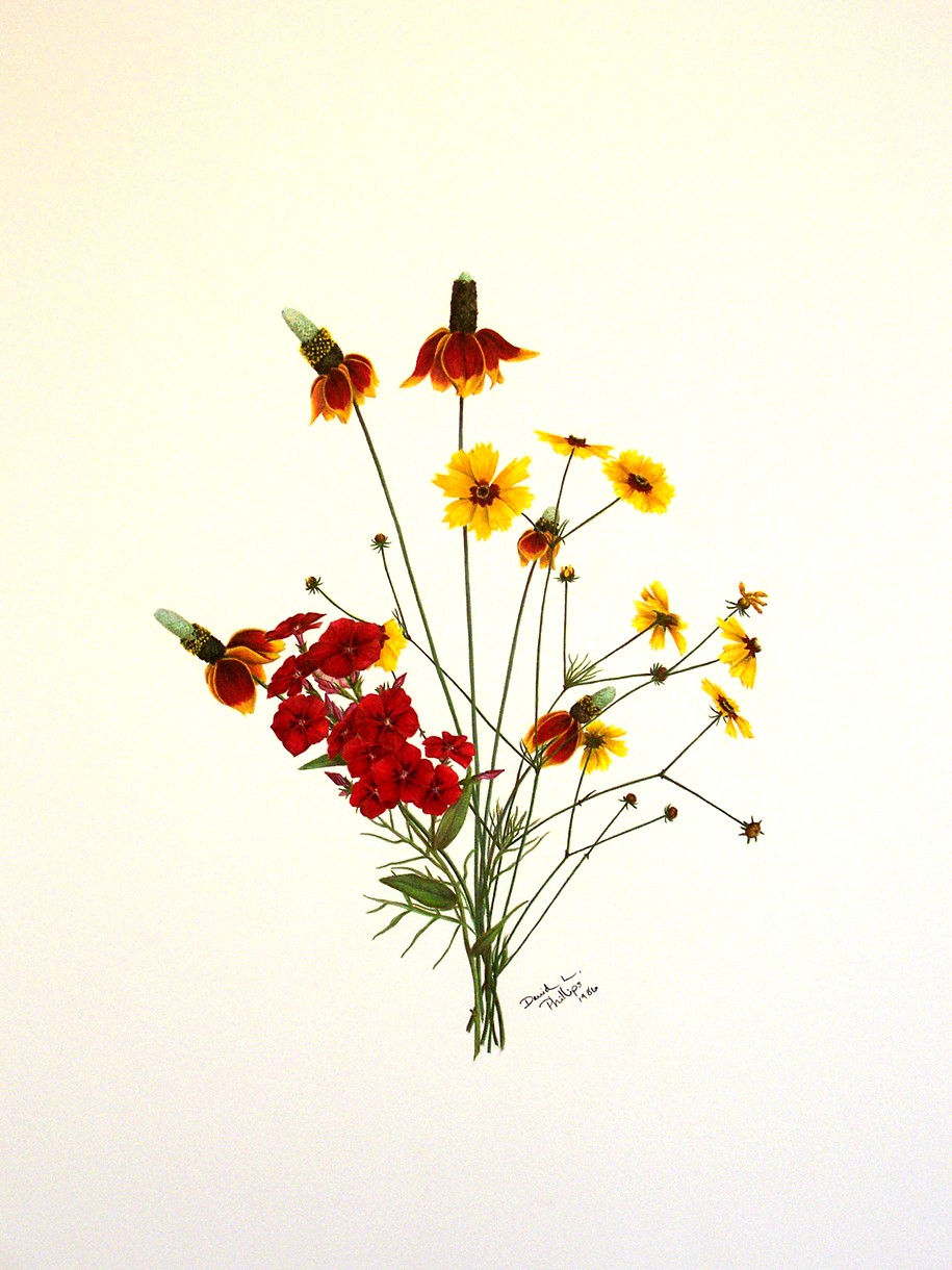 David Phillips Art