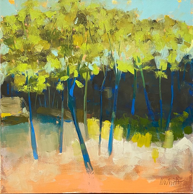 Kim Whitt