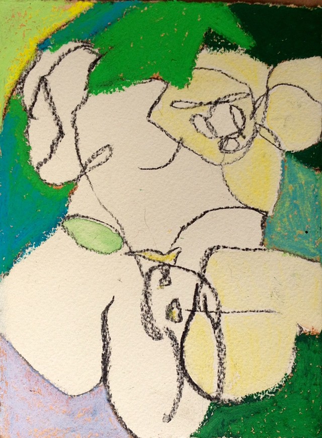 Stephanie Rose Bird Artist