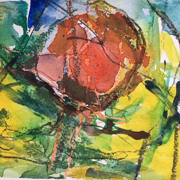 Stephanie Rose Bird Artist