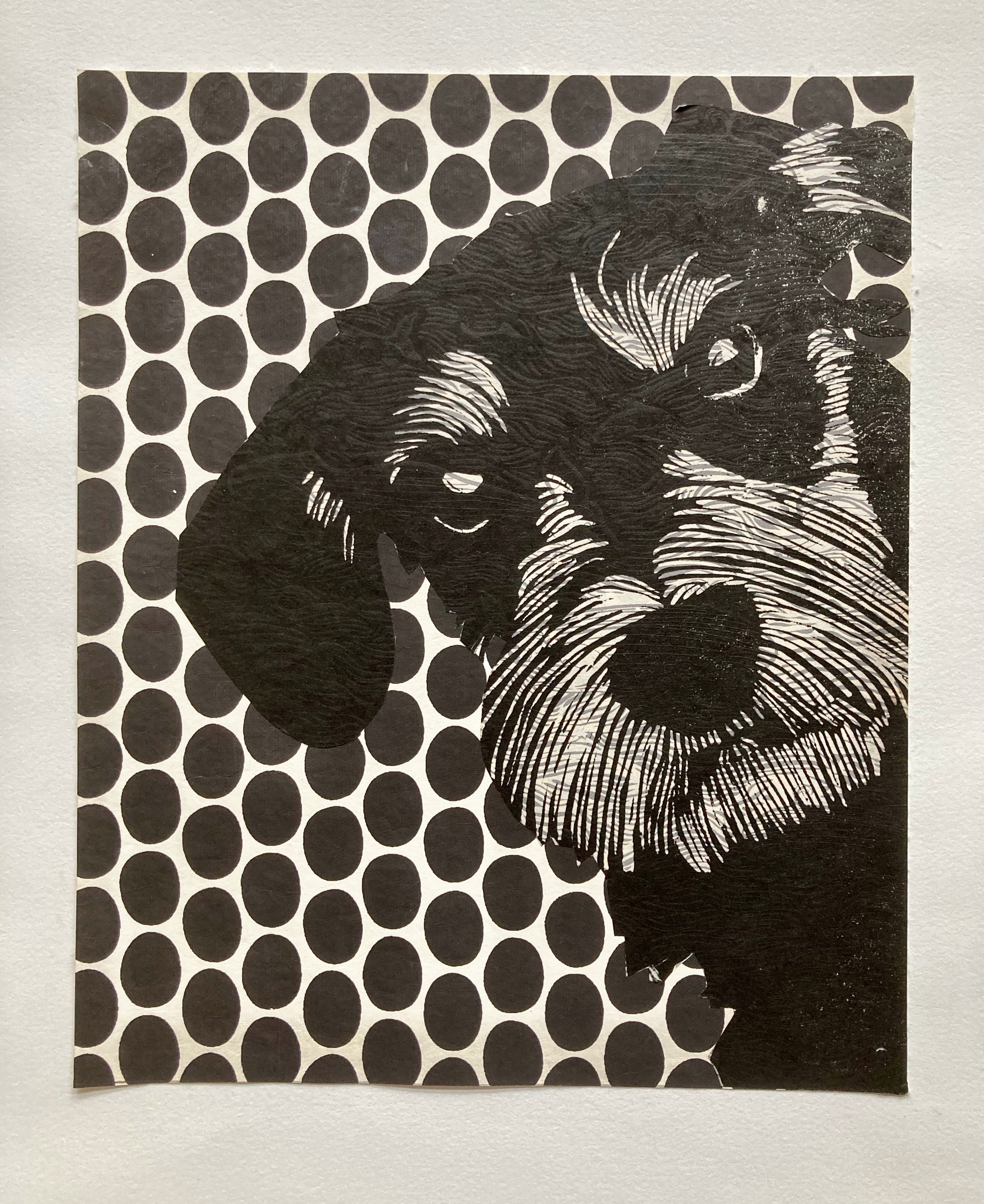 Jan Branham Print and Collage Artist