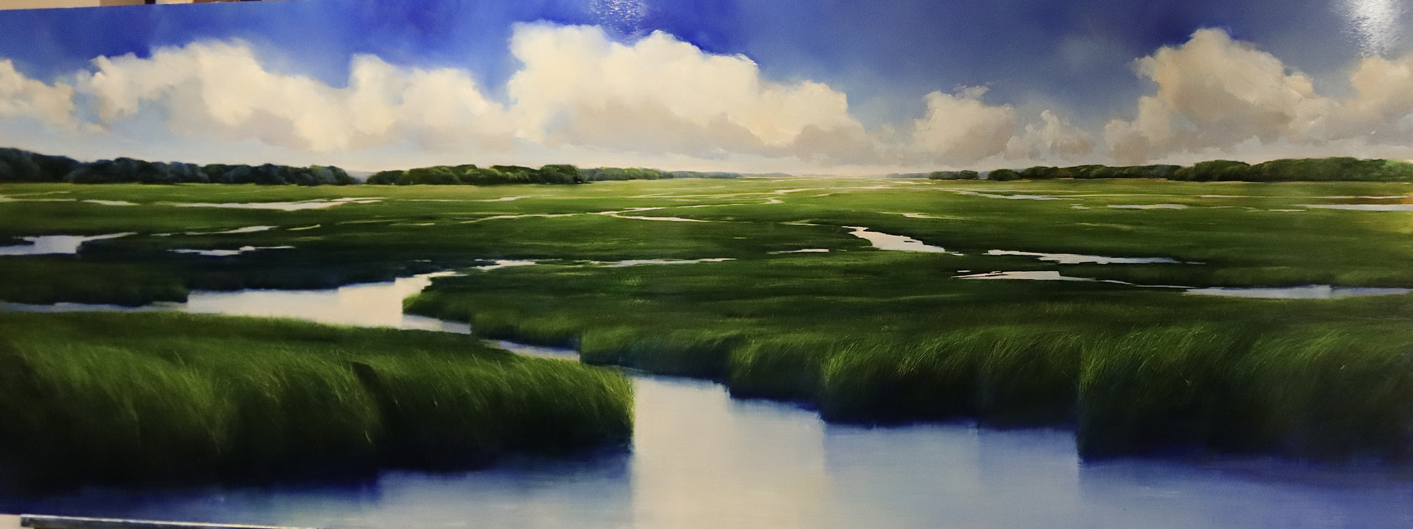 Janine Robertson Fine Art