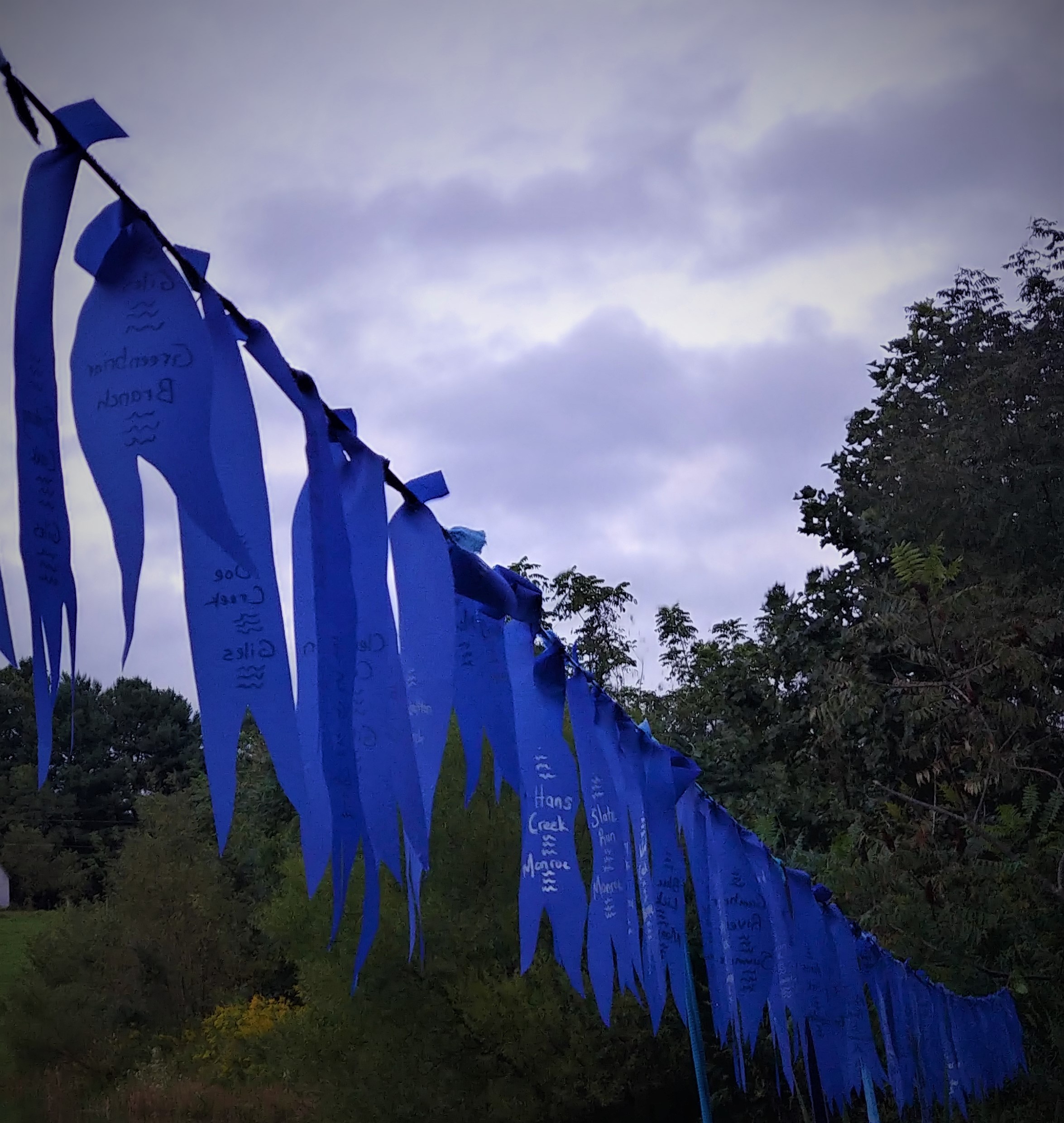 1000 Flags / 1000 Waters