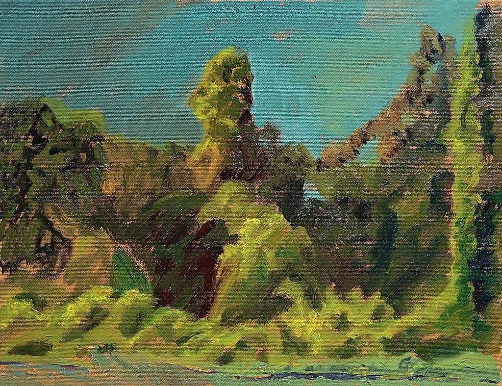 Amanda Buckley Paintings