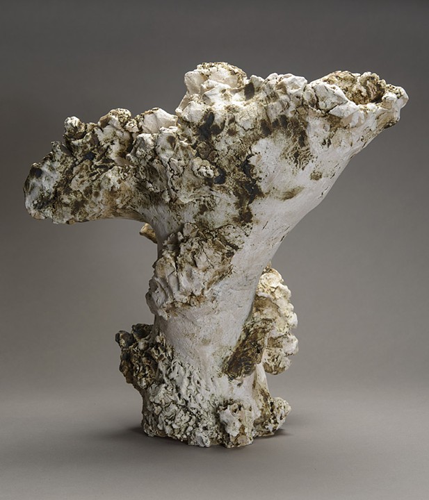 JUDY HOFFMAN: ARTIST