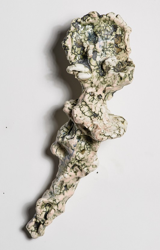 JUDY HOFFMAN: ARTIST