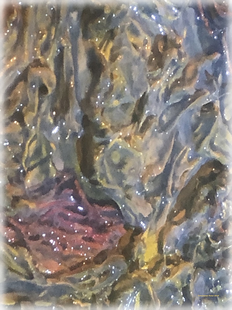 TOBEIMEAN PETER - Visual Art