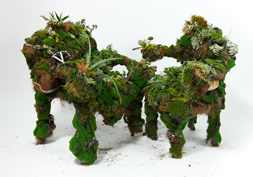 NATALIE COLLETTE WOOD