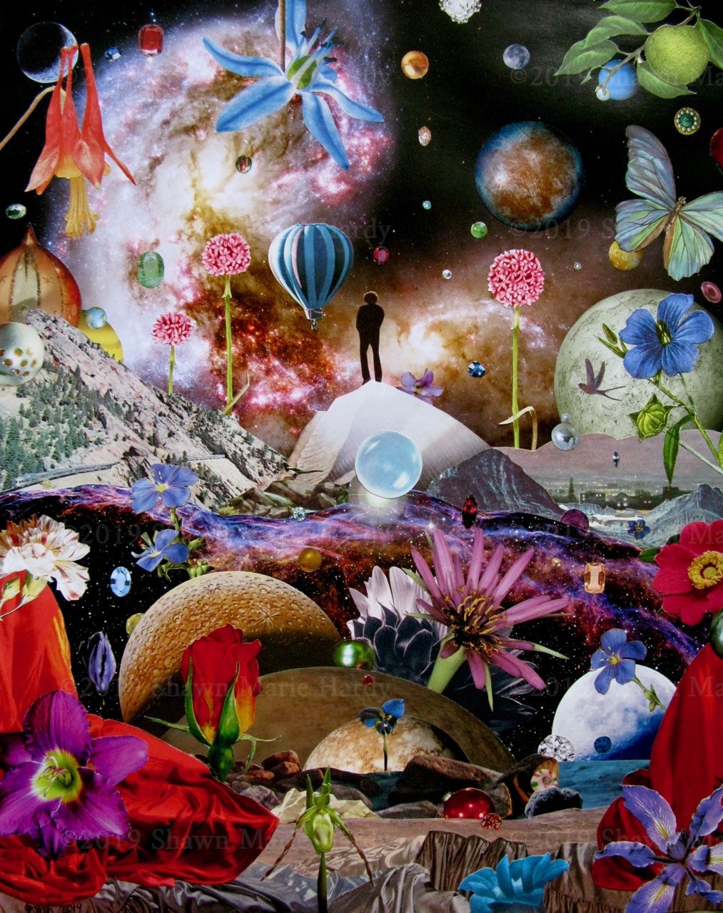 The Art of Shawn Marie Hardy